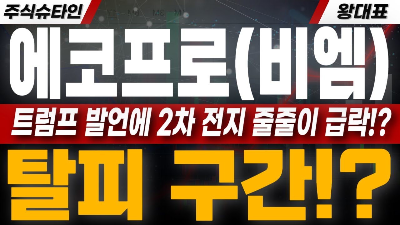 에코프로 에코프로비엠 🔴긴급속보 트럼프 발언에 2차 전지 줄줄이 급락 탈피 구간 주주님들 필수 시청 에코프로 에코프로비엠 Youtube