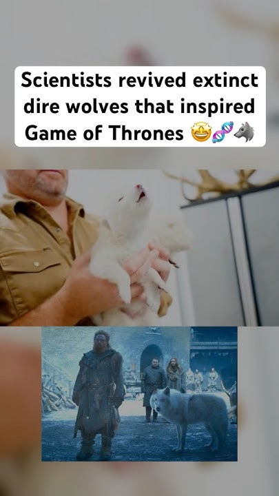 Scientists revived extinct dire wolves that inspired Game of Thrones #viralreels #viralshort ...