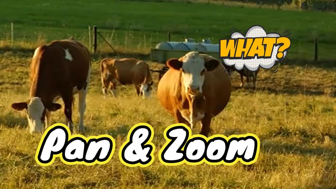 Learn to PAN & ZOOM With Filmora 11 - YouTube