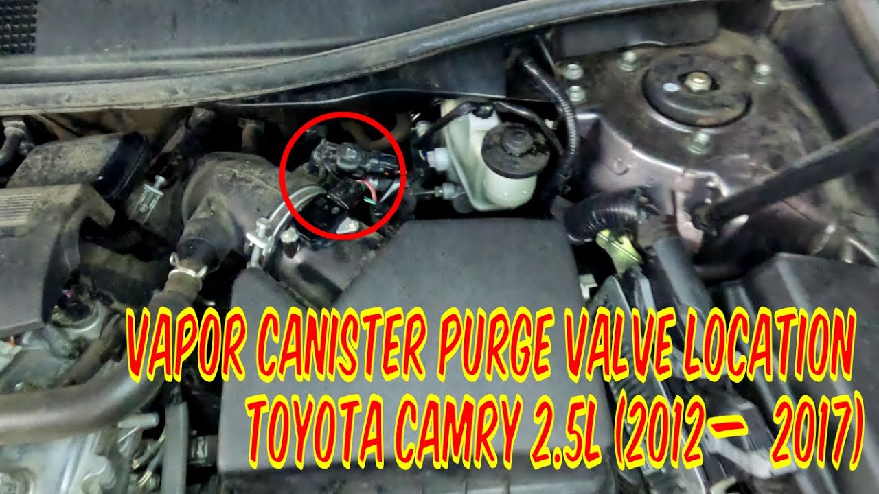Toyota Camry Vapor Canister Purge Valve Location (2012-2017, 2.5L ...