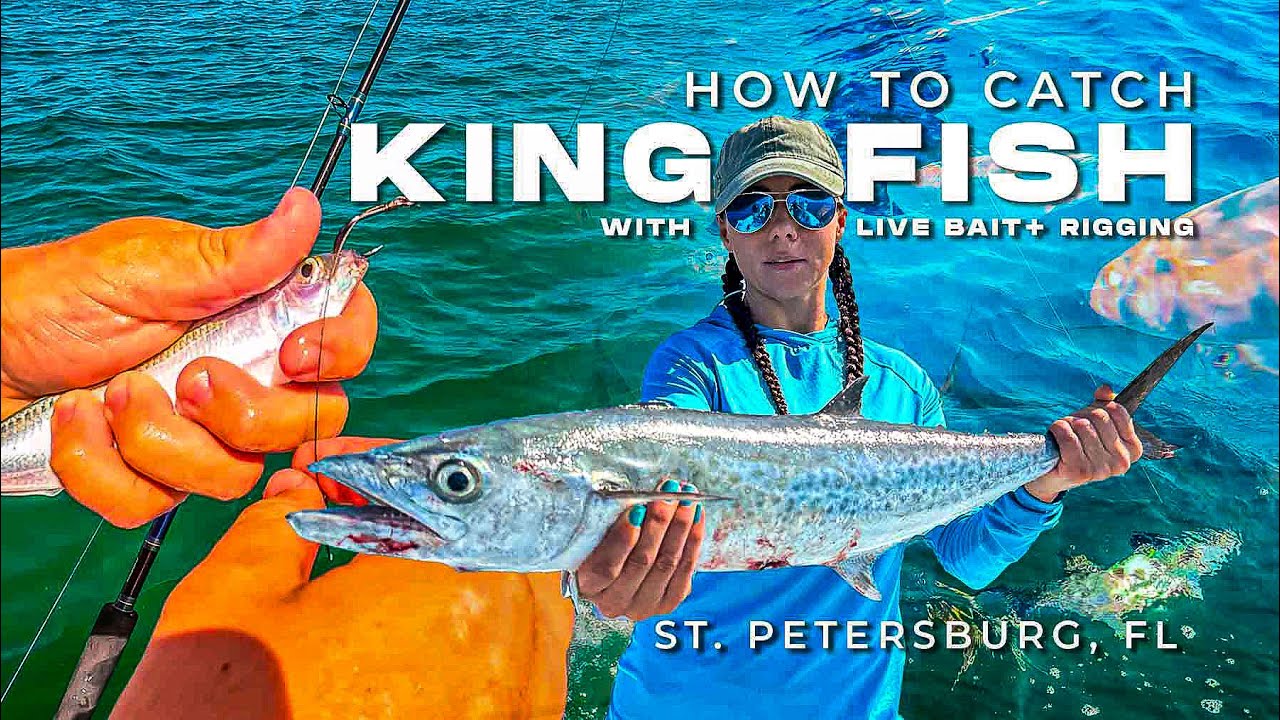 Tournament Kingfish: How to Catch King Mackerel with Live Bait St ...