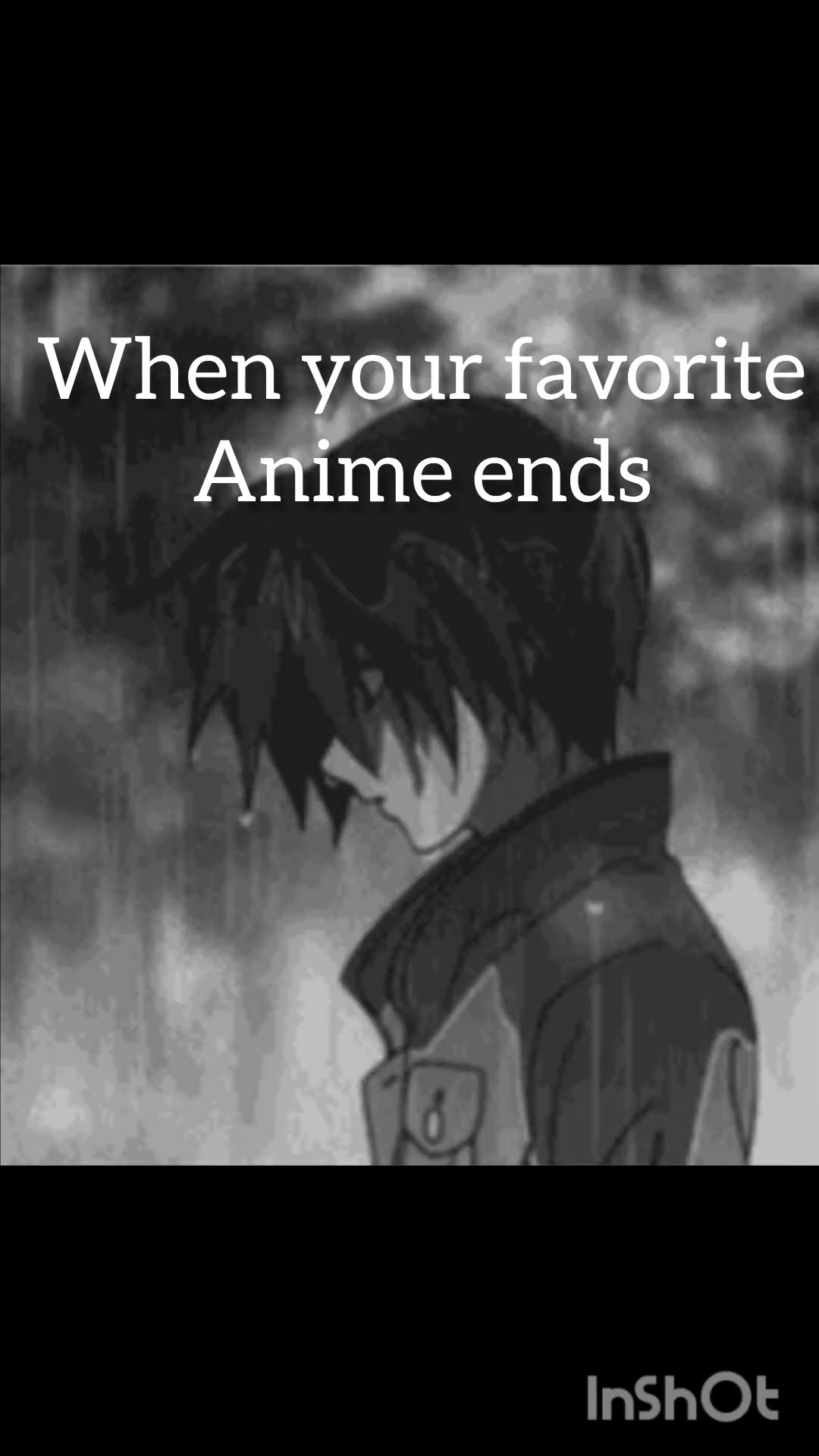 Ultimate Anime Memes Anime Youtube