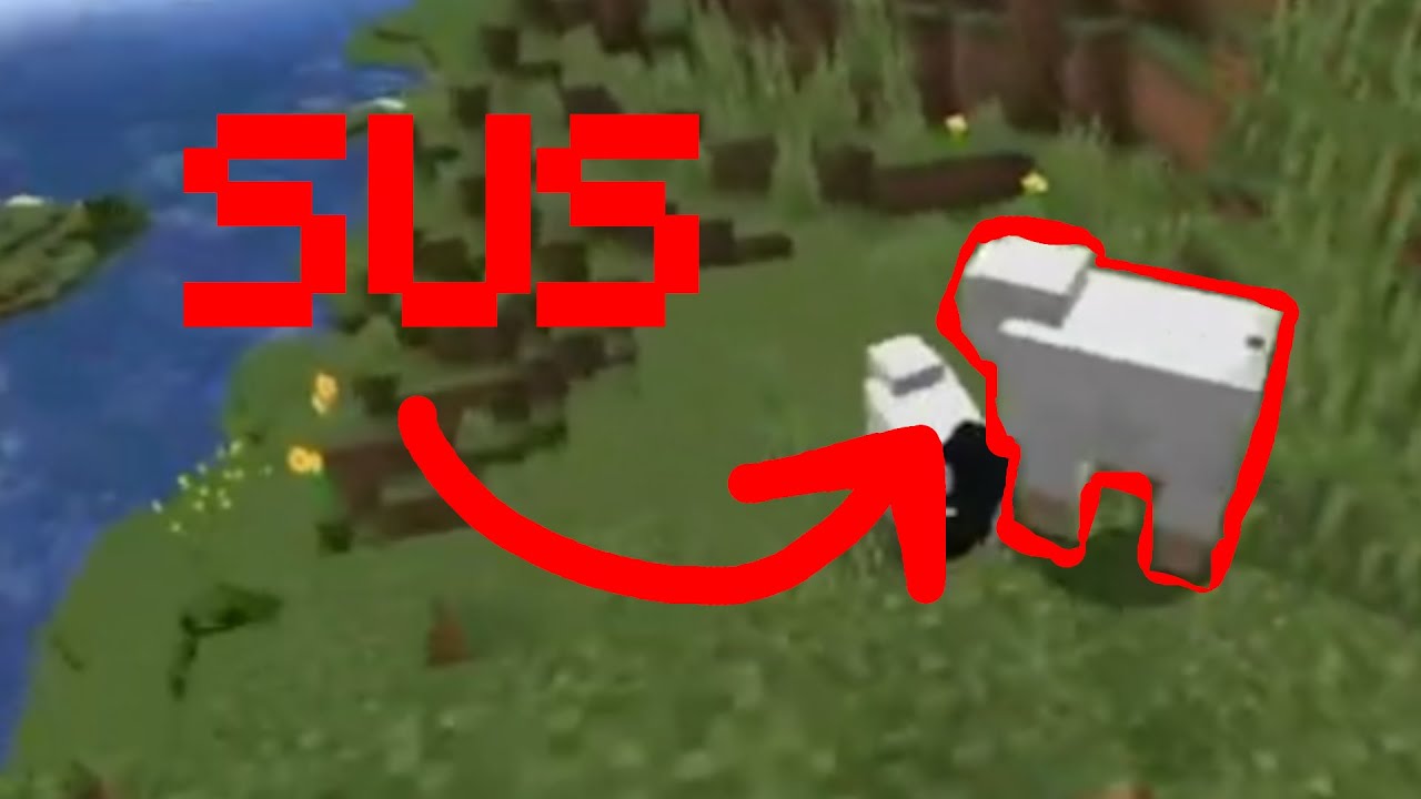 SUS Sheep Minecraft - YouTube
