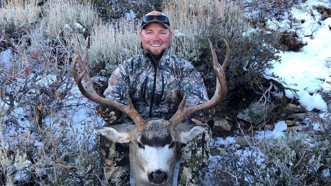 Henry Mountains Mule Deer Hunt! (With Killshot) - YouTube