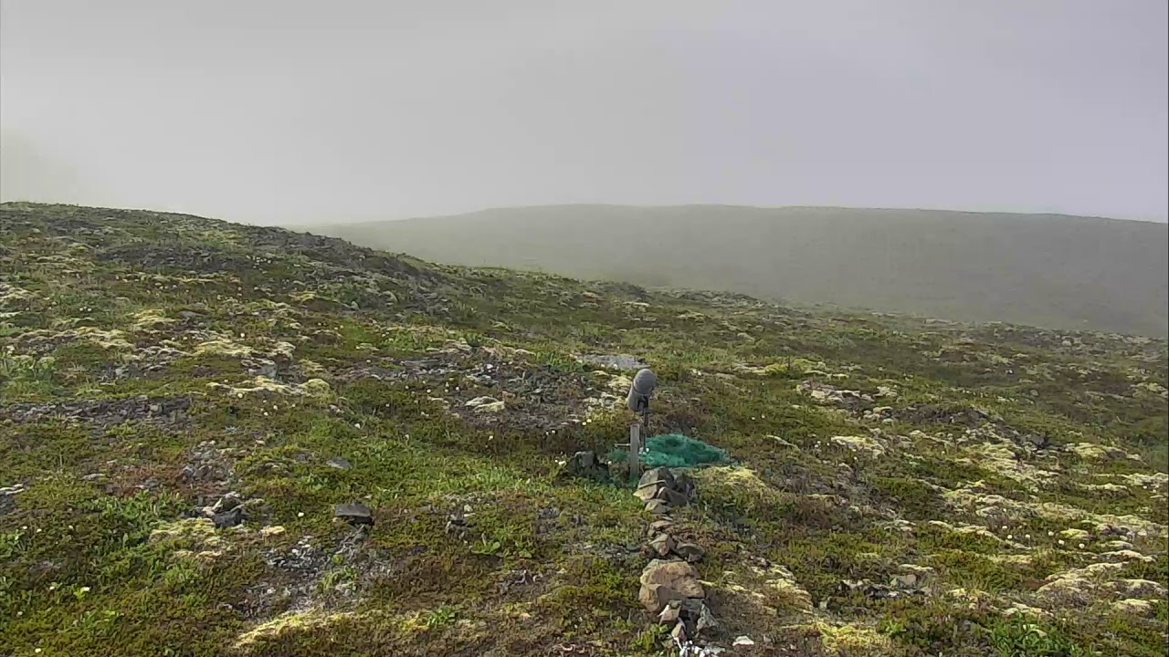 Dumpling Mountain - Katmai National Park Cam 07-01-2018 09:03:21 - 10: ...