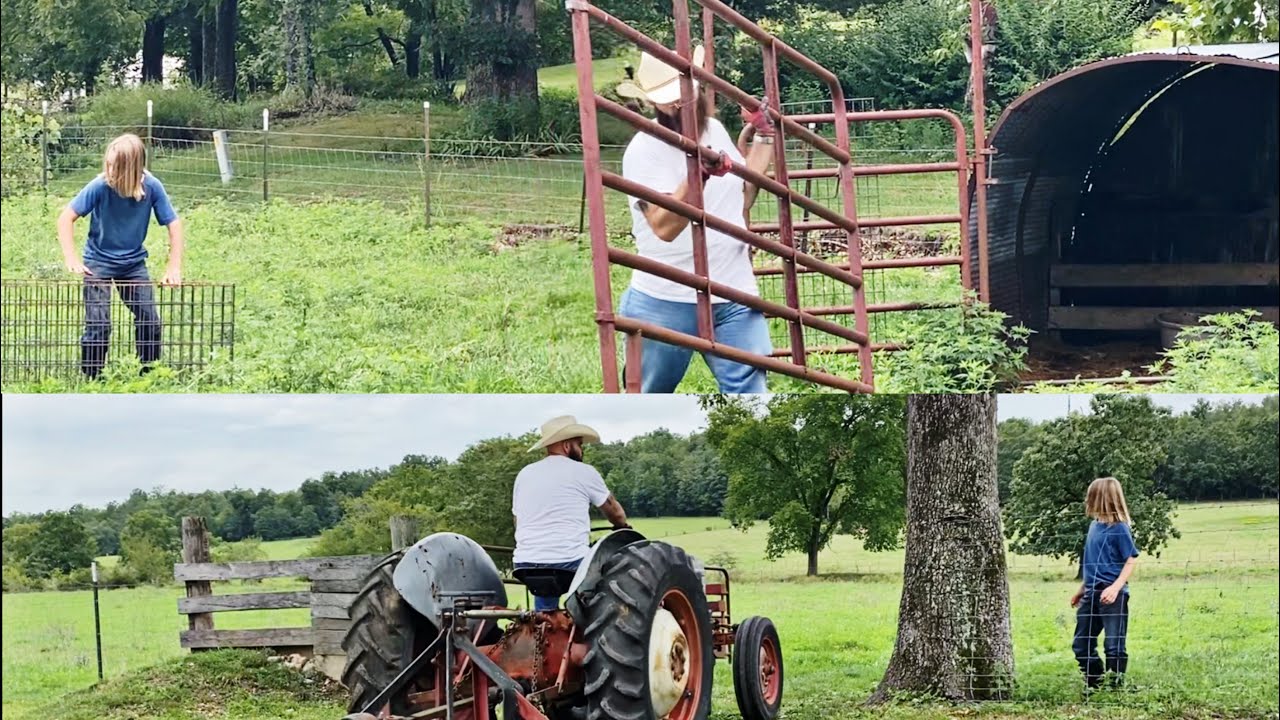Tidy up our Farm vlog | diamondcfarms - YouTube