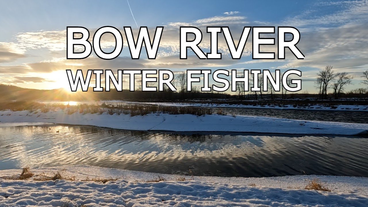 Winter Fly Fishing on the Bow River: Personal Best Whitefish - YouTube