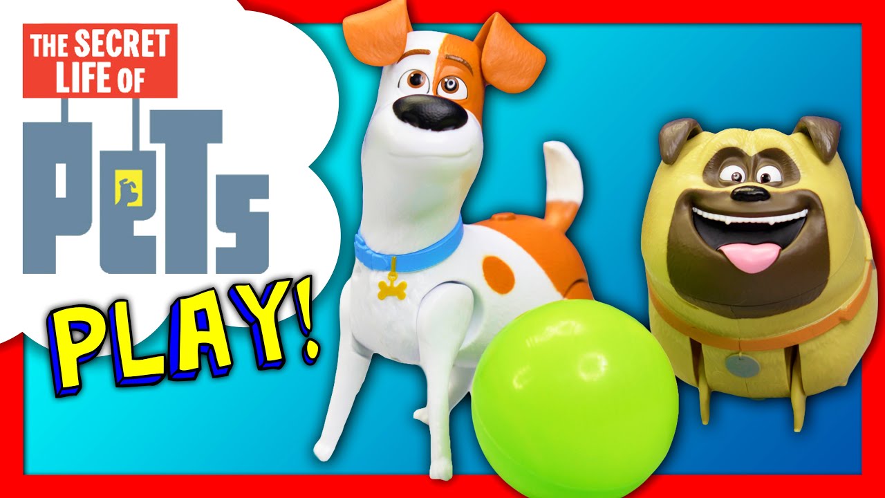 SECRET LIFE of PETS Max and Mel Go to the Dog Park - YouTube