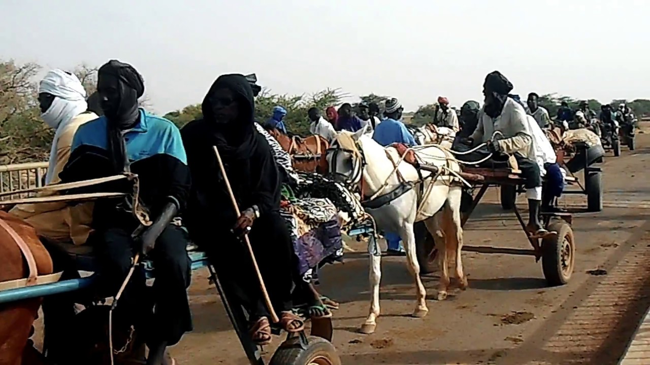 EXTRAIT DU FILM DOCUMENTAIRE :SENEGAL:VOYAGE AU CŒUR DE L’ÎLE AMORPHIL ...
