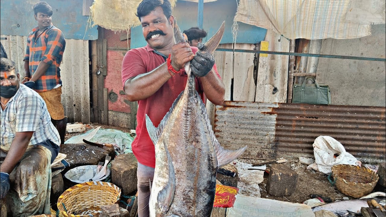 KASIMEDU SIRUTHAI DURAI||15 KG PARAI MEAN||FISH CUTTING#kasimedu ...