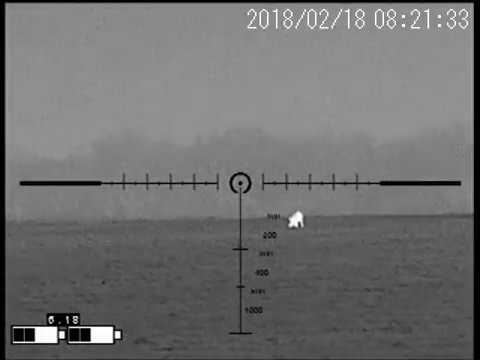 Trijicon Reap IR Thermal View - YouTube