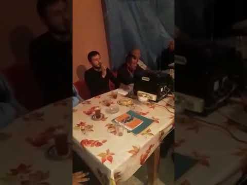 Ģurcustan qirxili kendi