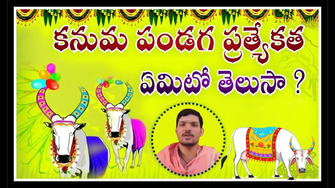 Significance Of Kanuma || Third Day Of Makara Sankranthi 2021 || What ...