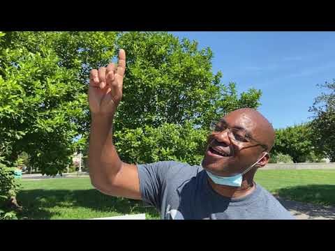 Shawn Mitchell - Imagine #gospel (Official Music Video) - YouTube