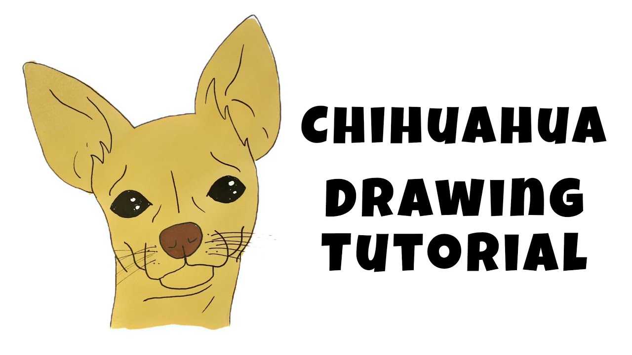Drawing Tutorial of Chihuahua – Create the Smallest Breed of Dog ...