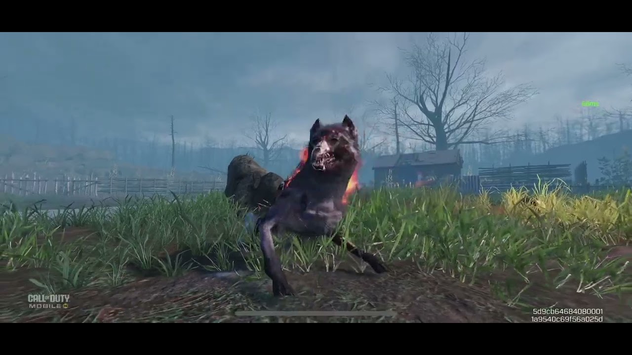 I’m the true codm legend - YouTube