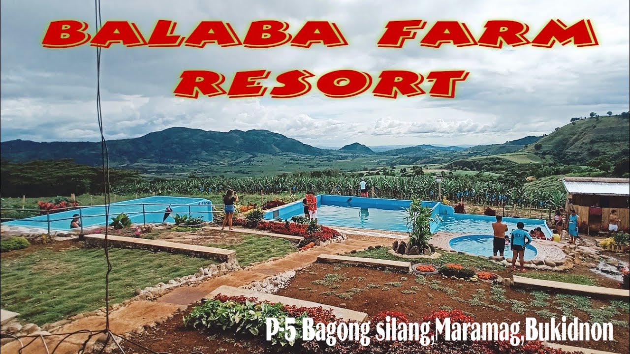 BALABA FARM RESORT/BUKIDNON TOURIST SPOT/Zards Travel - YouTube