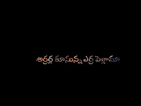 Gudlaguba Kalladhi New Love Song ll #2024 New Song Lyrics ll What's up ...