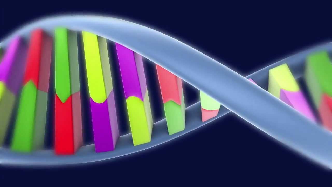 3D medical animation - DNA Twist - designidentity - YouTube