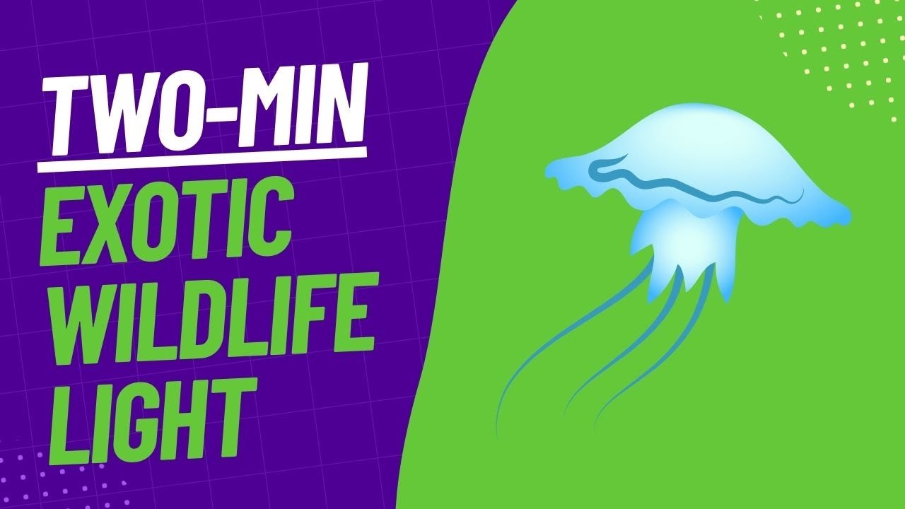 What is The Bioluminescence - Two Minute Explainer - YouTube