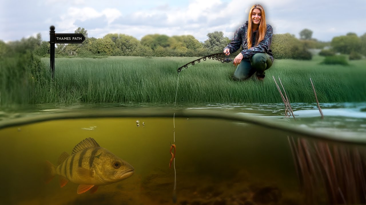 Hunting UK’s Striped River Predators! (OUR LUCK...) - YouTube