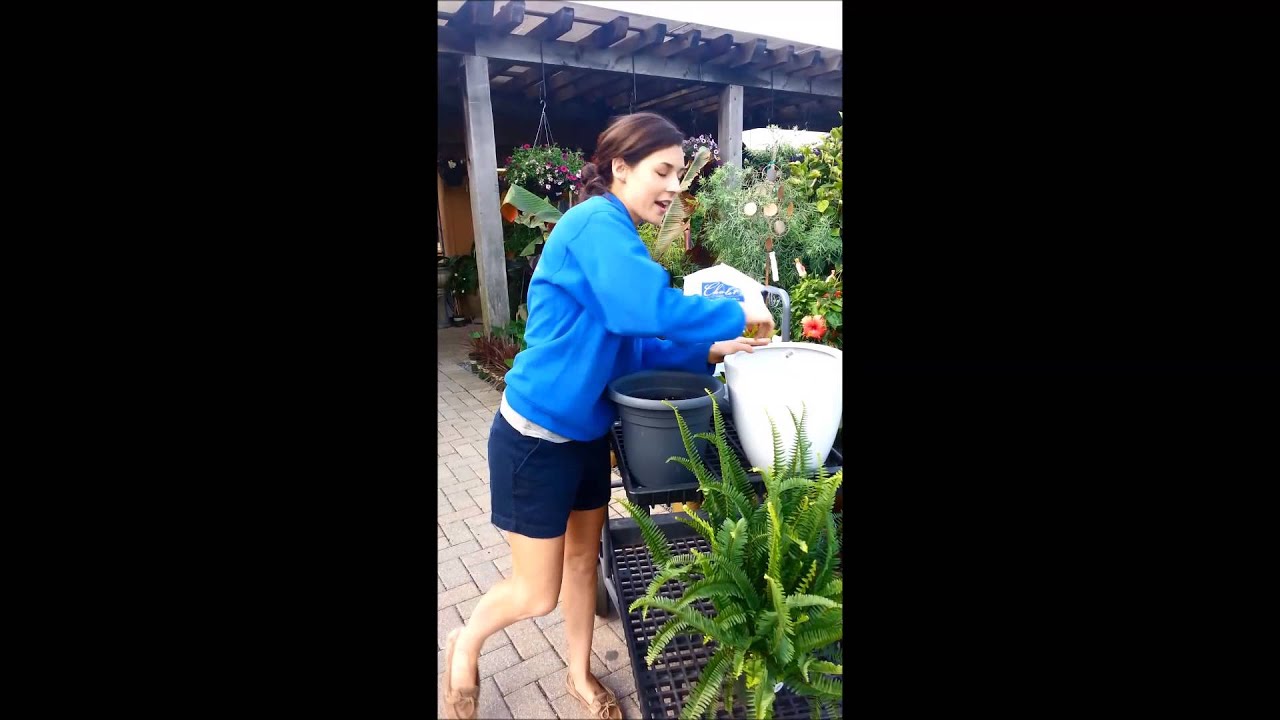 How To Prepare a Container for Planting - YouTube