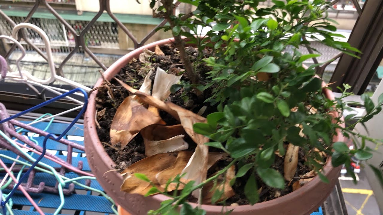 iPhone X 4K 60FPS sample - YouTube