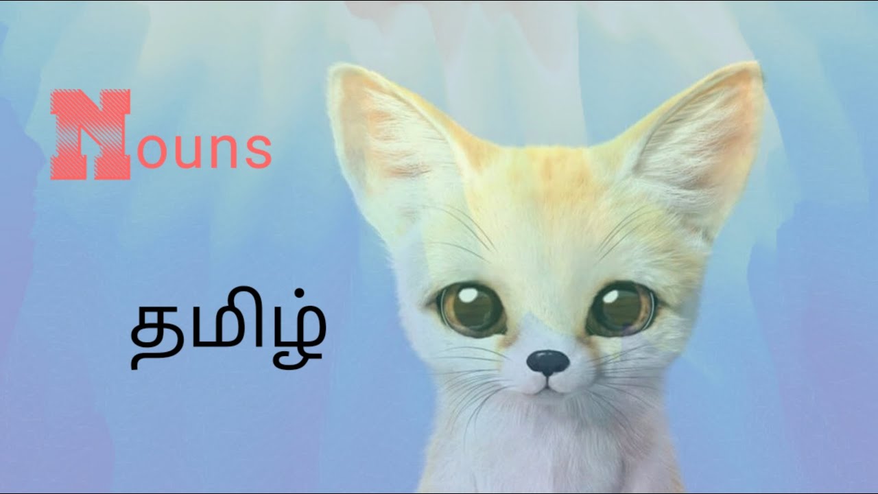 Types Of Noun In Tamil YouTube