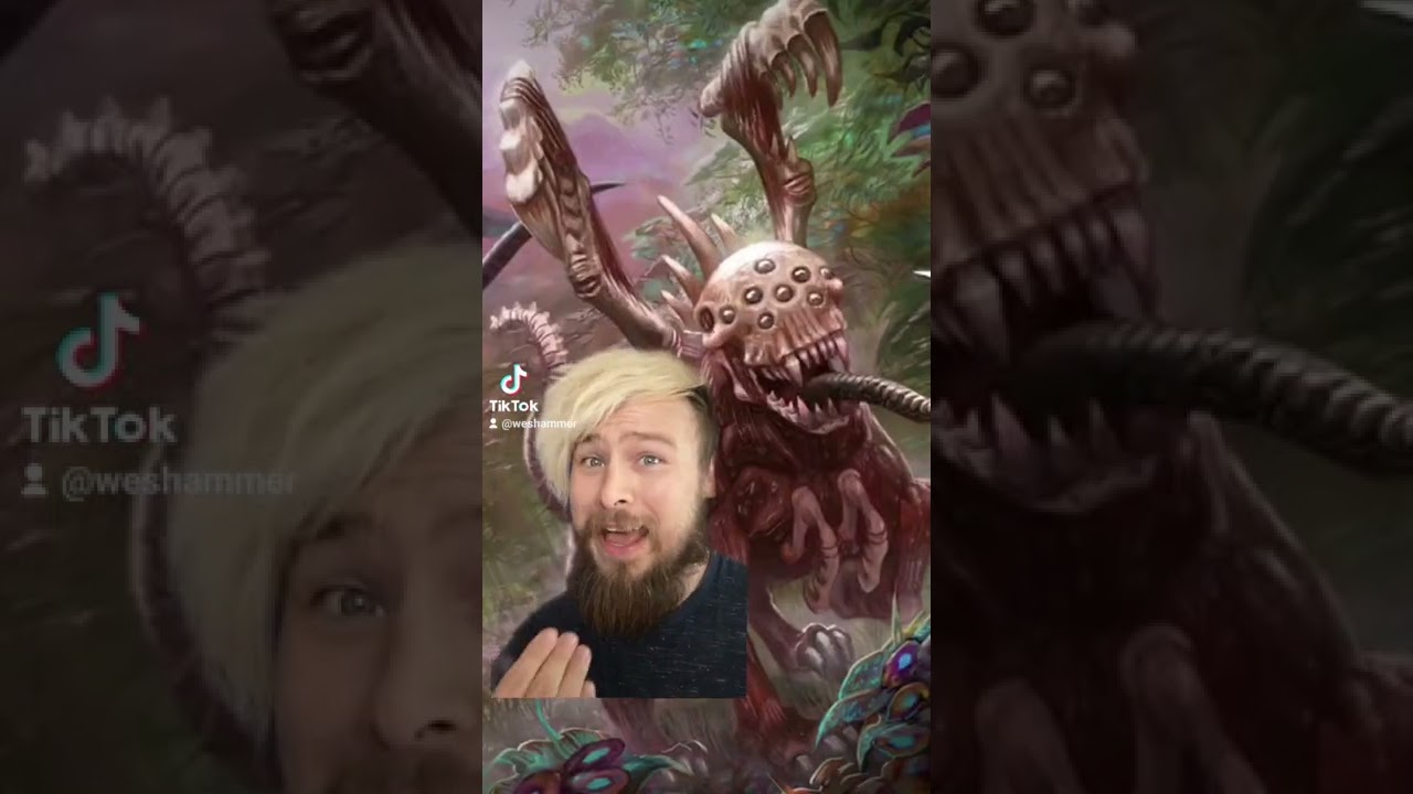 YouTube - Weshammer