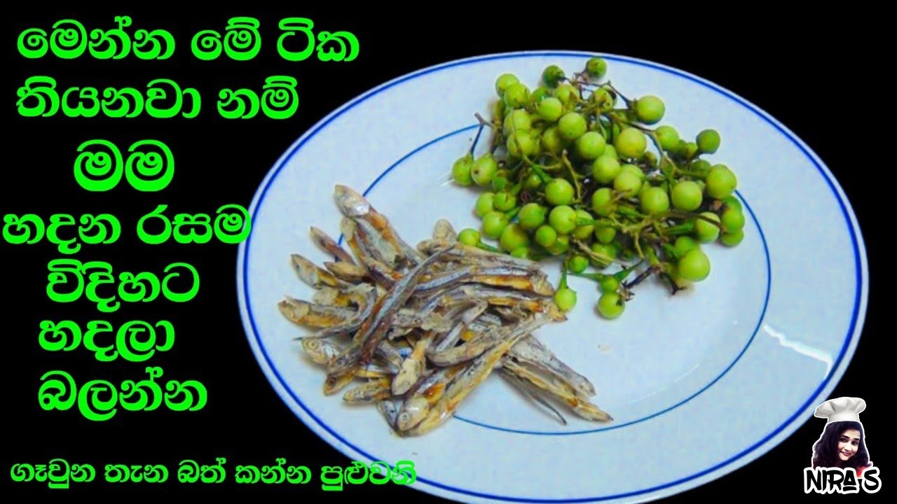 තිබ්බටු හාල්මැස්සෝ ටිකක් තියනවා නම් හදන්න ක්‍රමයක් | thibbatu halmasso ...