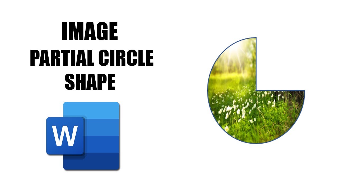 How to insert image into partial circle shape in word - YouTube