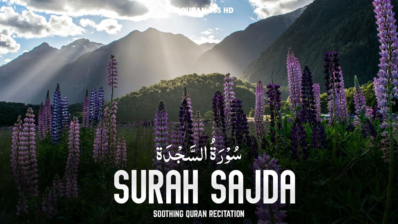 World's most beautiful recitation of Surah As-Sajda (سورة السجدة ...