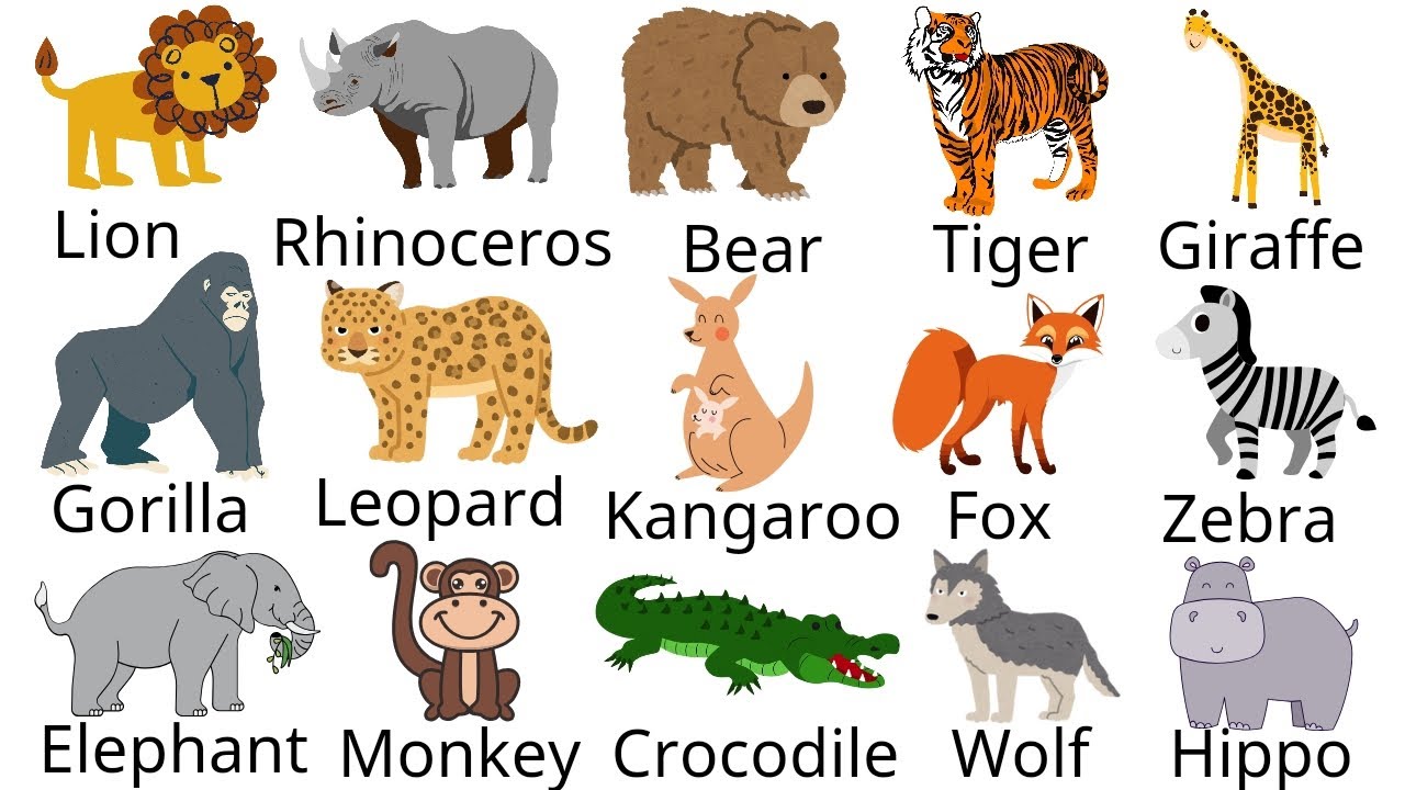 15 Wild Animals Name In English | Wildlife Animals Vocabulary | 15 ...