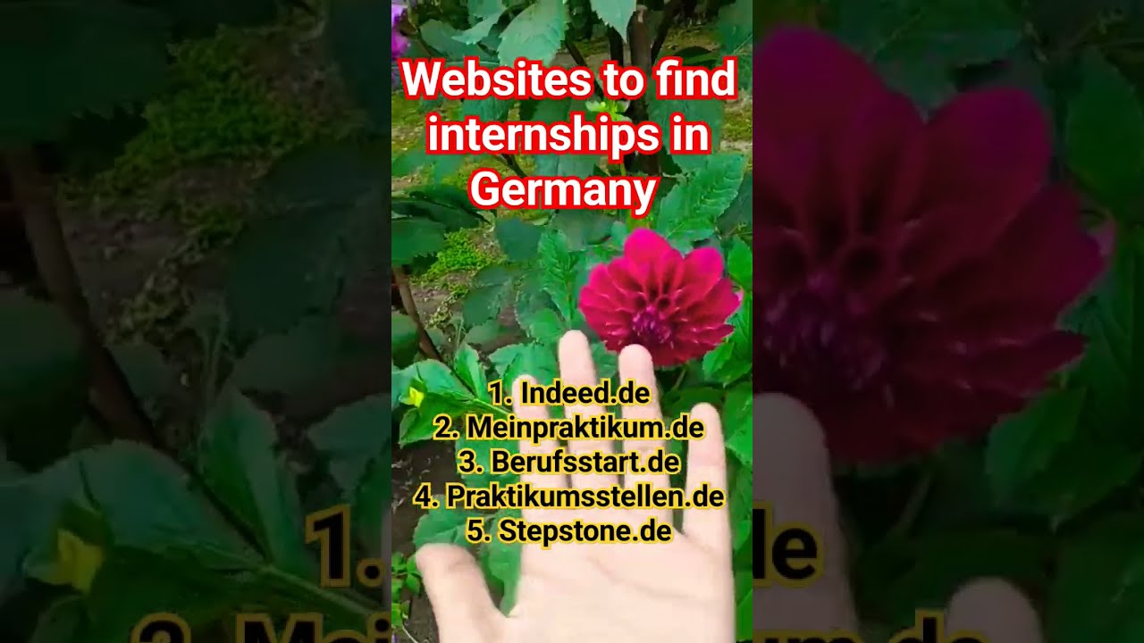 JOBS IN GERMANY APPLY NOW europeanlanguage germany JOBS abroad JOBS IN GERMANY APPLY NOW europeanlanguage germany JOBS abroad