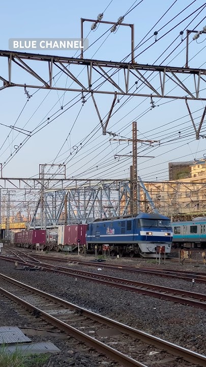 (貨物列車) 2024/04/14 3074レ EF210-125 + コキ20B (名古屋タ〜札幌タ) #Shorts - YouTube
