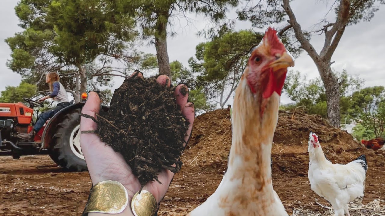 El Secreto para Mejorar la Tierra para Plantar - Compost Orgánico (con ...