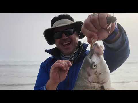 Meob Bay Namibia 04/2019 - YouTube