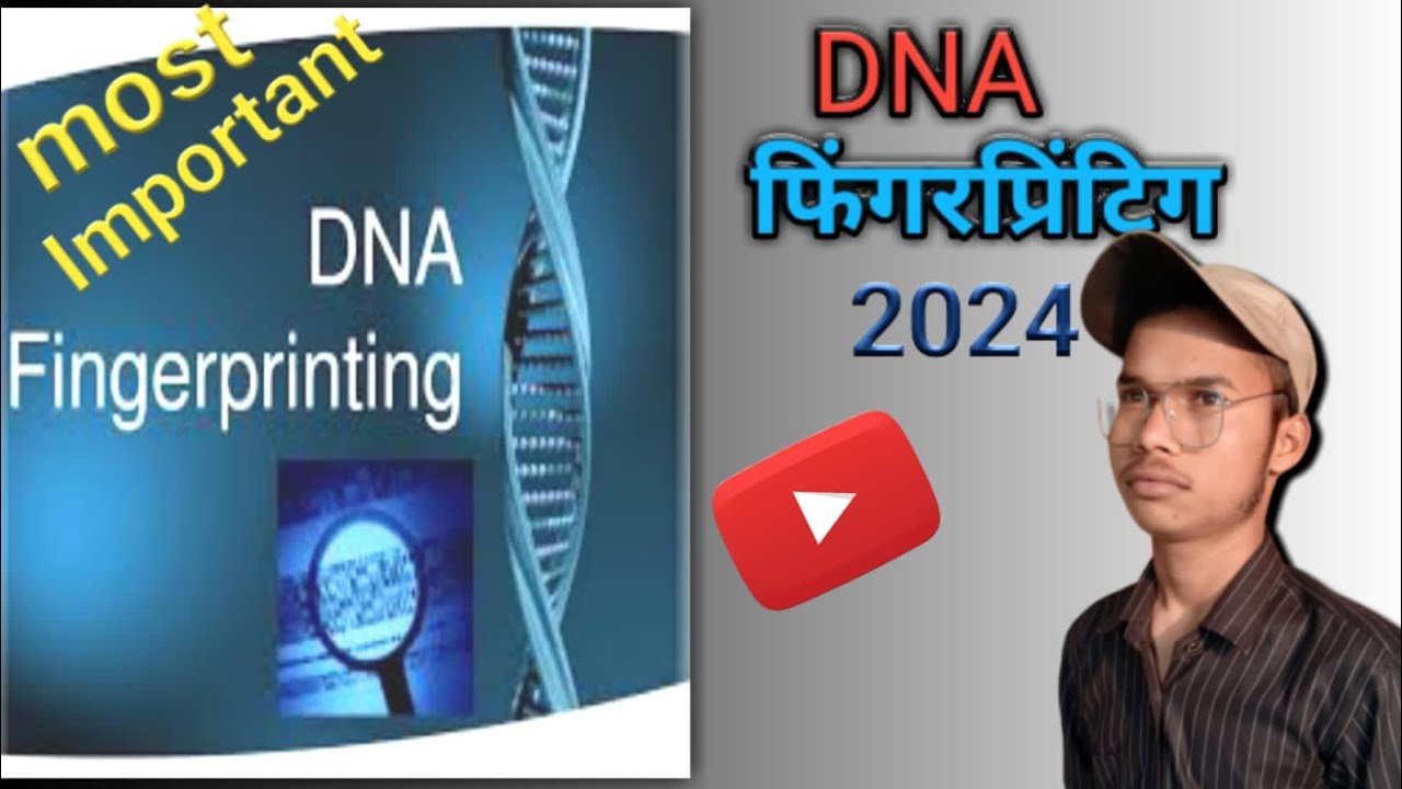 DNA फिंगरप्रिंटिंग या DNA अंगुलीछापन का सिद्धान्त|| DNA Fingerprinting ...