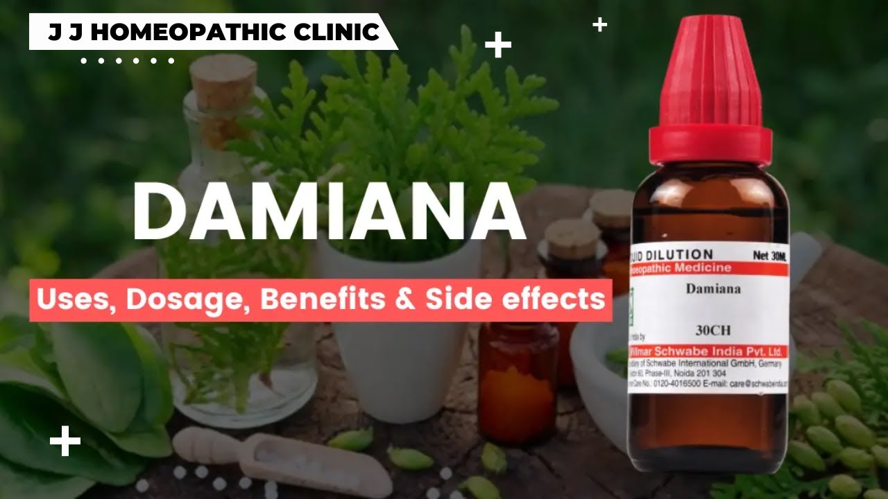 Damiana Q homeopathic medicine | Damiana benefits | Damiana Q uses ...