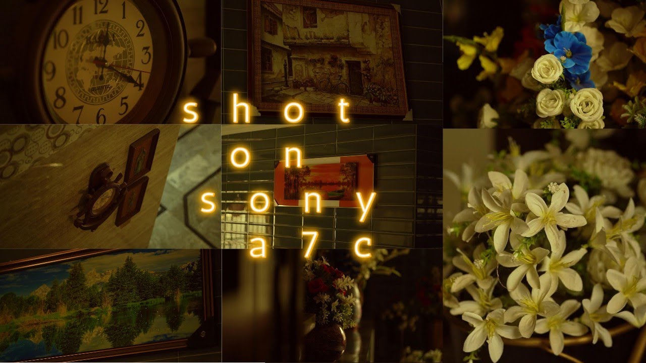 sony a7c in the sony alpha line has the most realistic colours! - YouTube