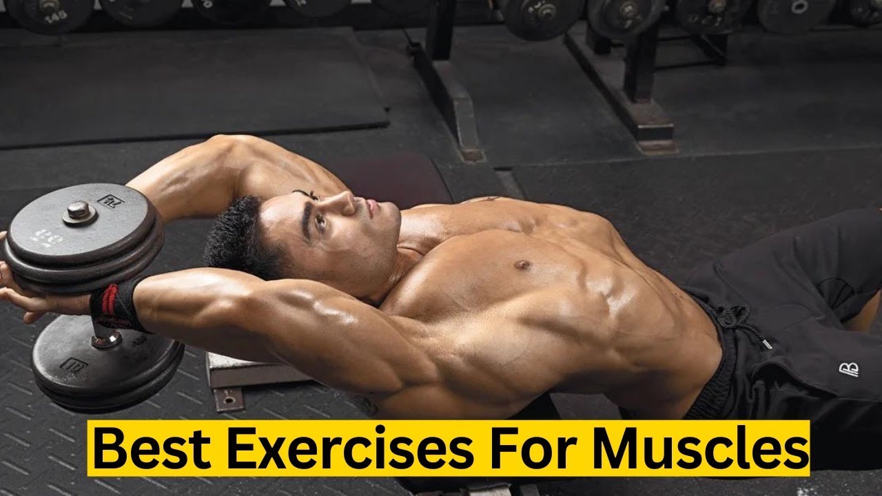 Top 10 BEST exercises for muscle GAIN! - YouTube