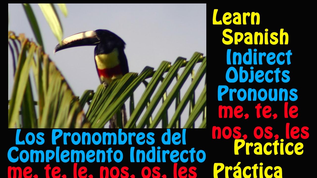 Learn Spanish-Indirect Object Pronouns (me, te, le, nos, *os, les ...