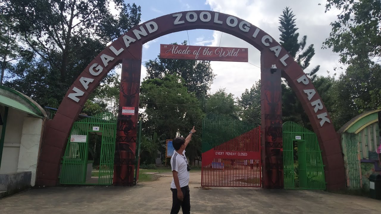 First time visited NAGALAND ZOOlOGICAl PARK#nagaland /@ajibanagavlogs ...