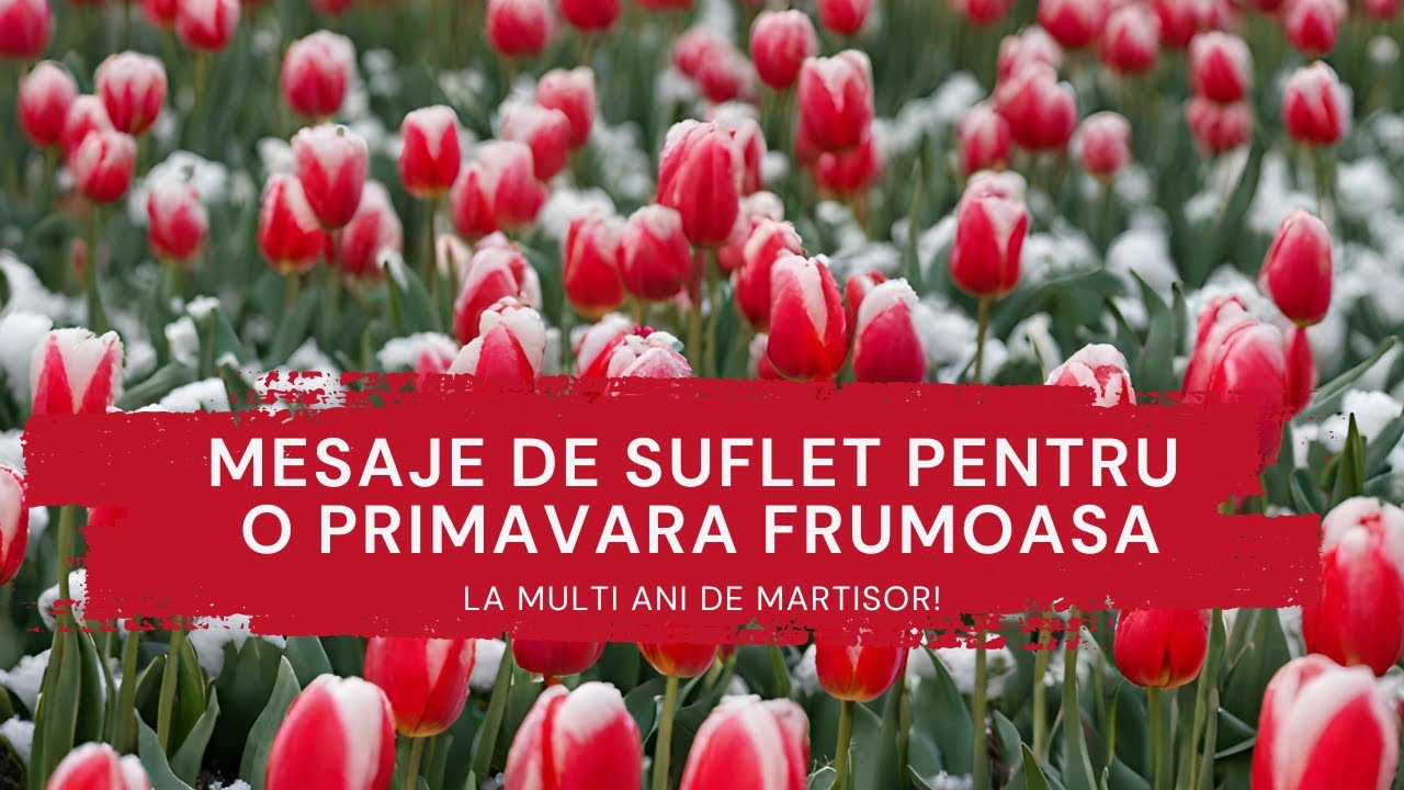 O primavara fericita | Sa ai o primavara minunata | Urari de primavara ...
