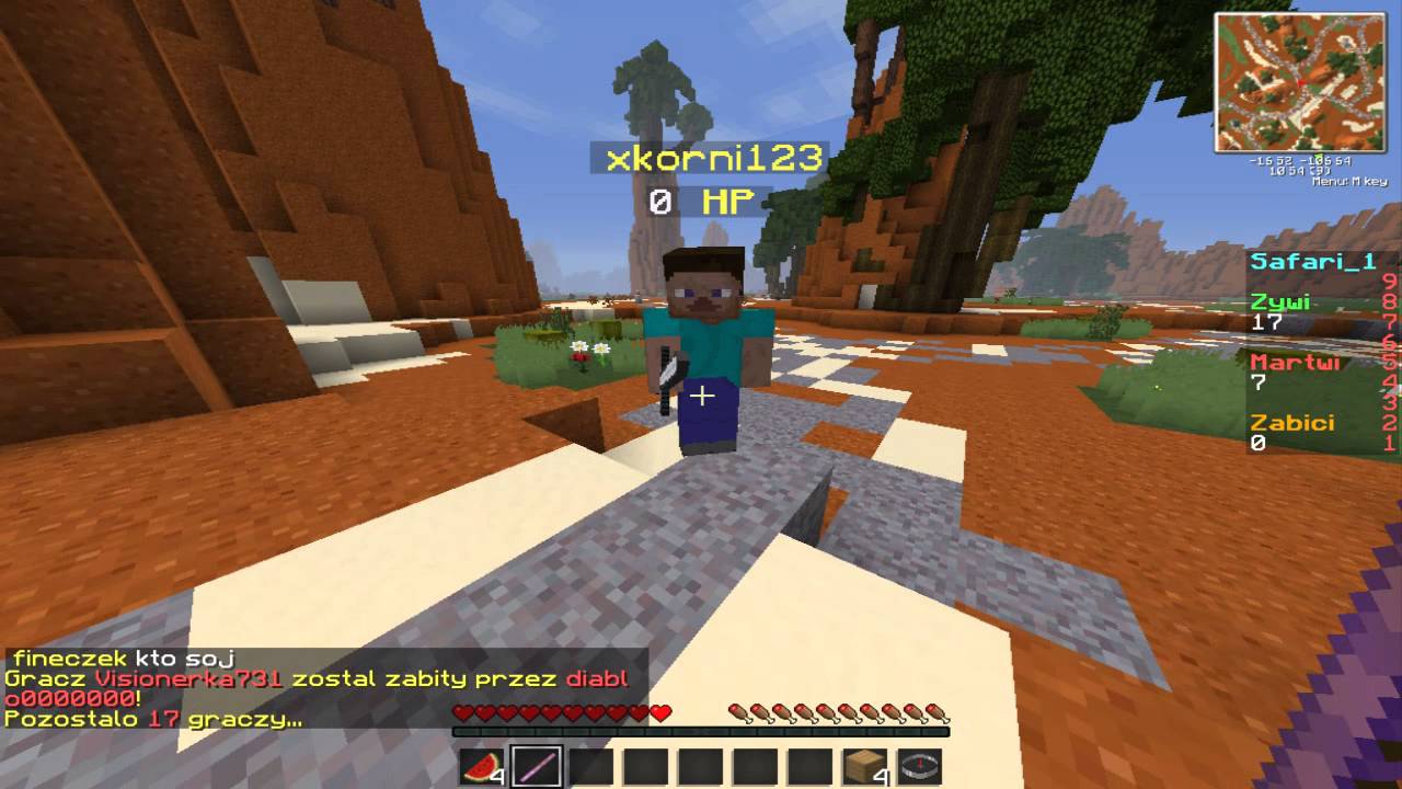 minecraft sg #2- Mr Bravo i Radek27 - YouTube