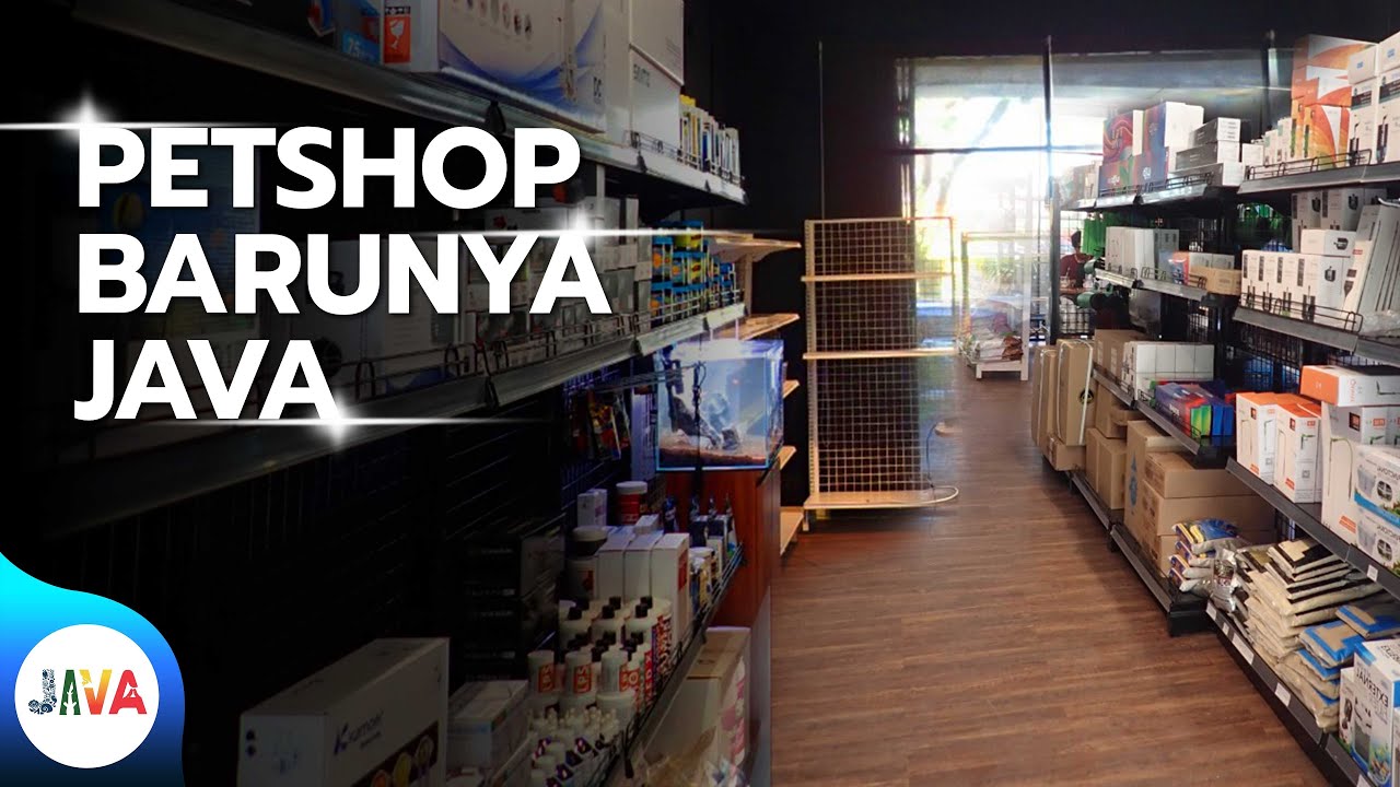 JAVA PETCO INDONESIA - SEGALA KEBUTUHAN TERBAIK UNTUK HEWAN ANDA ADA DISINI - YouTube