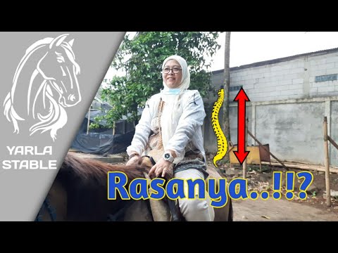 PERTAMA KALI NAIK KUDA, RASANYA GIMANA YA...??!!! - Touring ke Griya ...
