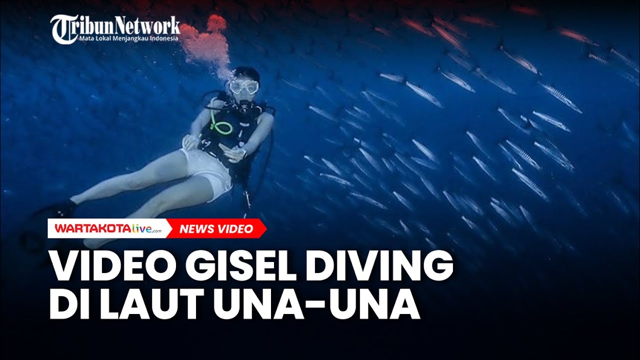 Gisel Bagikan Video Pengalaman Diving di Laut Una-una Sulawesi Tengah ...