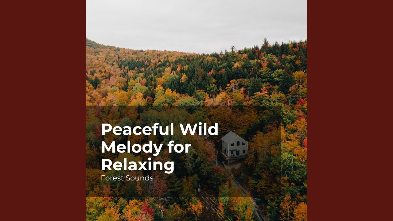 Vehement Coastal Wind - YouTube