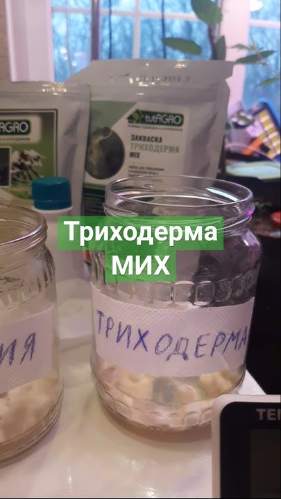 Закваски МИХ ТРИХОДЕРМА БОВЕРИЯ МЕТАРИЗИУМ МУЛЬТИБАКТ НОВОСПОРИН 19 ...